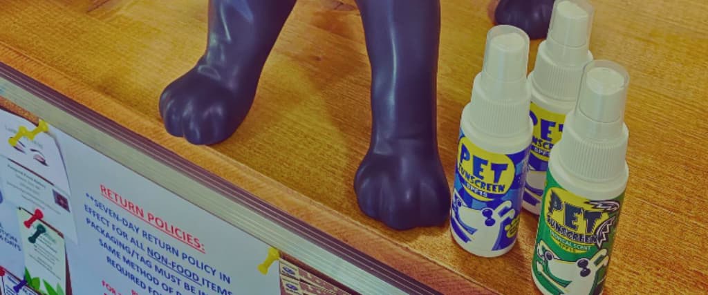 A Guide to Sunscreen For Dogs And Cats – MY Healthy Balance