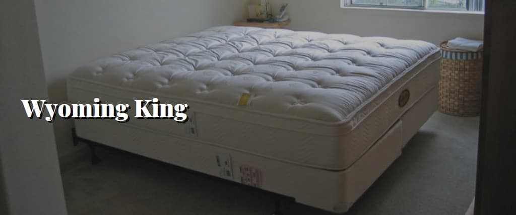 What Is the Biggest Bed You Can Buy? – MY Healthy Balance