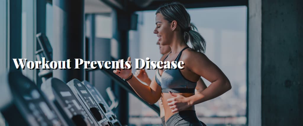 Best Gyms in Sydney – MY Healthy Balance