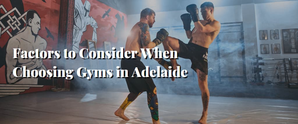 Best MMA Gyms in Adelaide – MY Healthy Balance