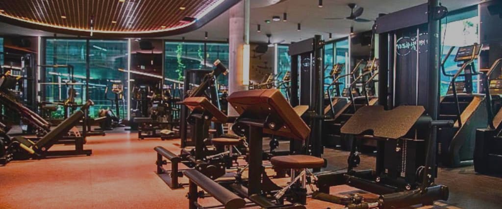Best Gyms in Brisbane – MY Healthy Balance