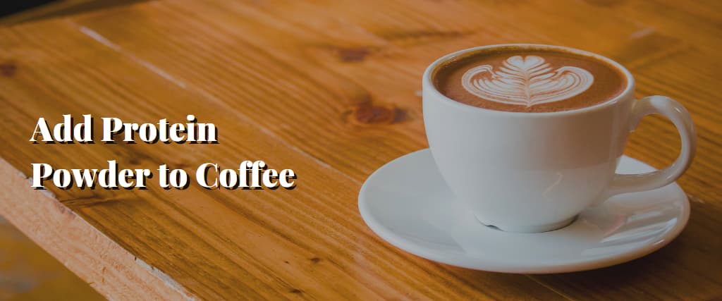 Can Protein Powder Be Used for Weight Loss? – MY Healthy Balance