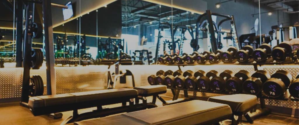 Anytime Fitness Prices & Membership Cost 2024 – MY Healthy Balance