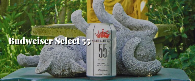 The 30 Best Low-Carb Beers In Australia – MY Healthy Balance