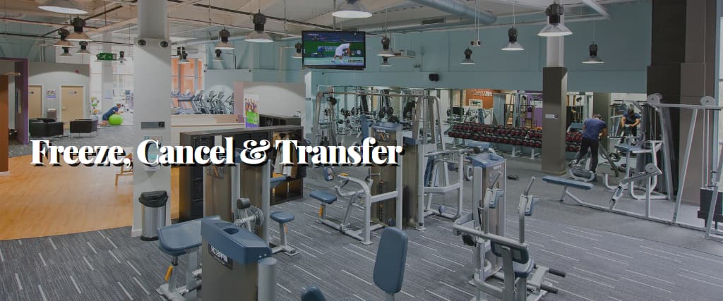 How to Cancel Anytime Fitness Membership [3 Ways] – MY Healthy Balance