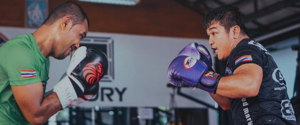 Is Boxing Good for Weight Loss? – MY Healthy Balance