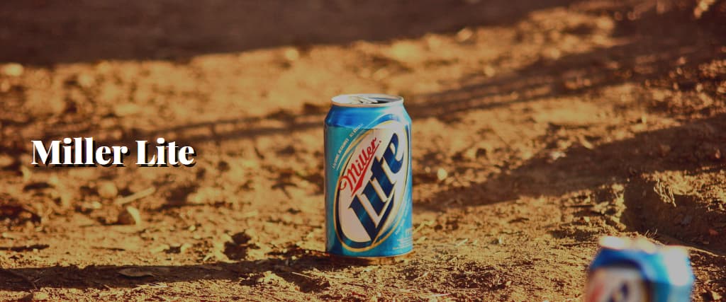 The 30 Best Low-Carb Beers In Australia – MY Healthy Balance