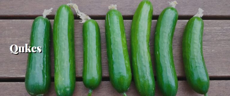 17 Low-Calorie Snacks From Woolworths – MY Healthy Balance