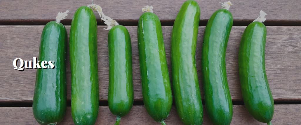 17 Low-Calorie Snacks From Woolworths – MY Healthy Balance