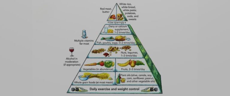 Is the Healthy Eating Pyramid Still Relevant in 2024 – MY Healthy Balance