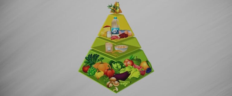Is the Healthy Eating Pyramid Still Relevant in 2024 – MY Healthy Balance